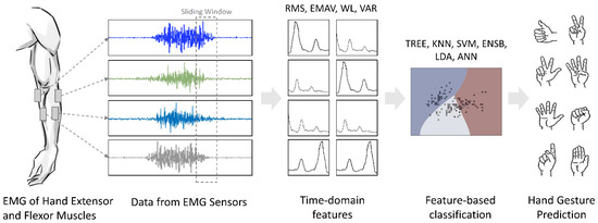 A Systematic Study on Electromyography-Based Hand Gesture Recognition ...
