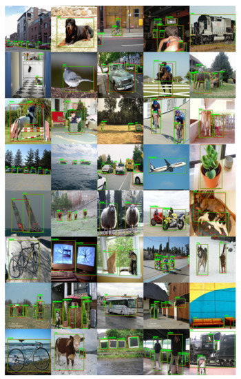 LEOD-Net: Learning Line-Encoded Bounding Boxes for Real-Time Object Detection