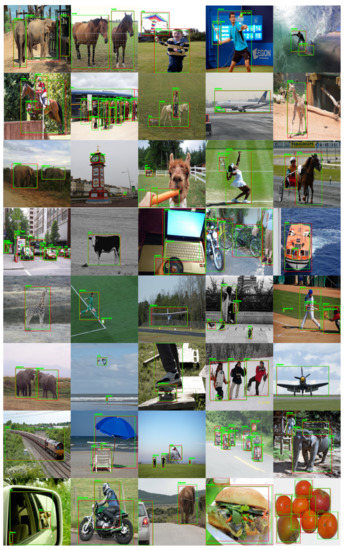 LEOD-Net: Learning Line-Encoded Bounding Boxes for Real-Time Object Detection