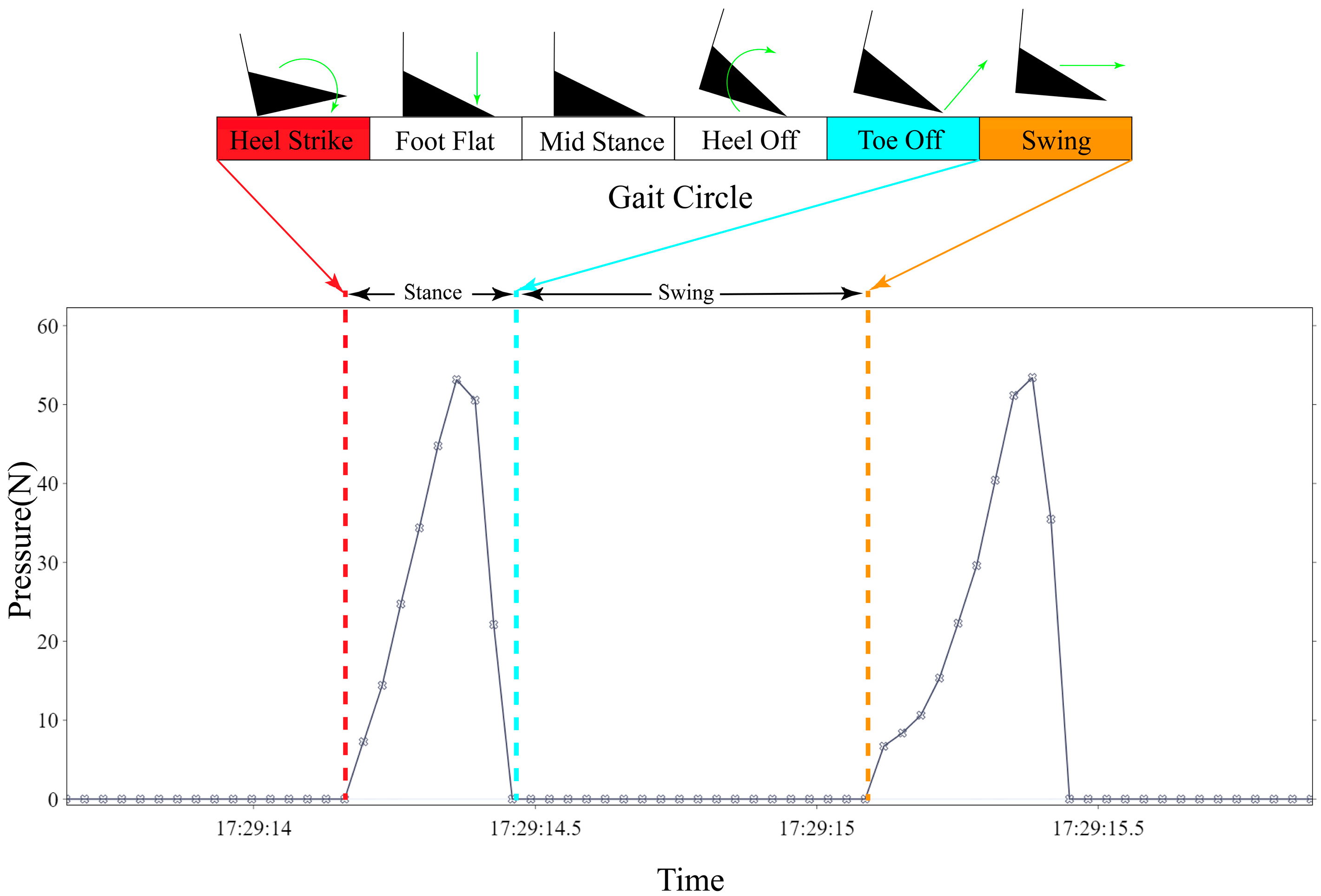 Sensors | Free Full-Text | Carrying Position-Independent Ensemble Machine Learning Step-Counting ...