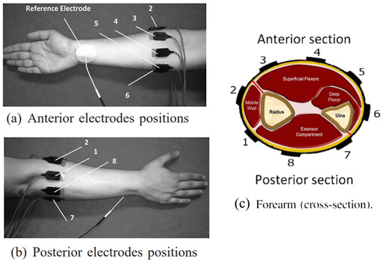 Applying Machine Learning to Finger Movements Using Electromyography ...