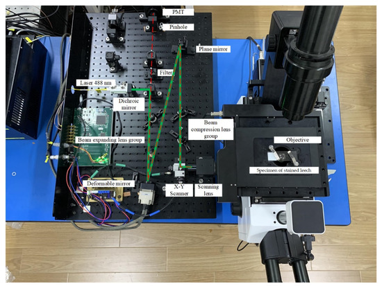 Sensors | Free Full-Text | Active Aberration Correction with Adaptive Coefficient SPGD Algorithm ...