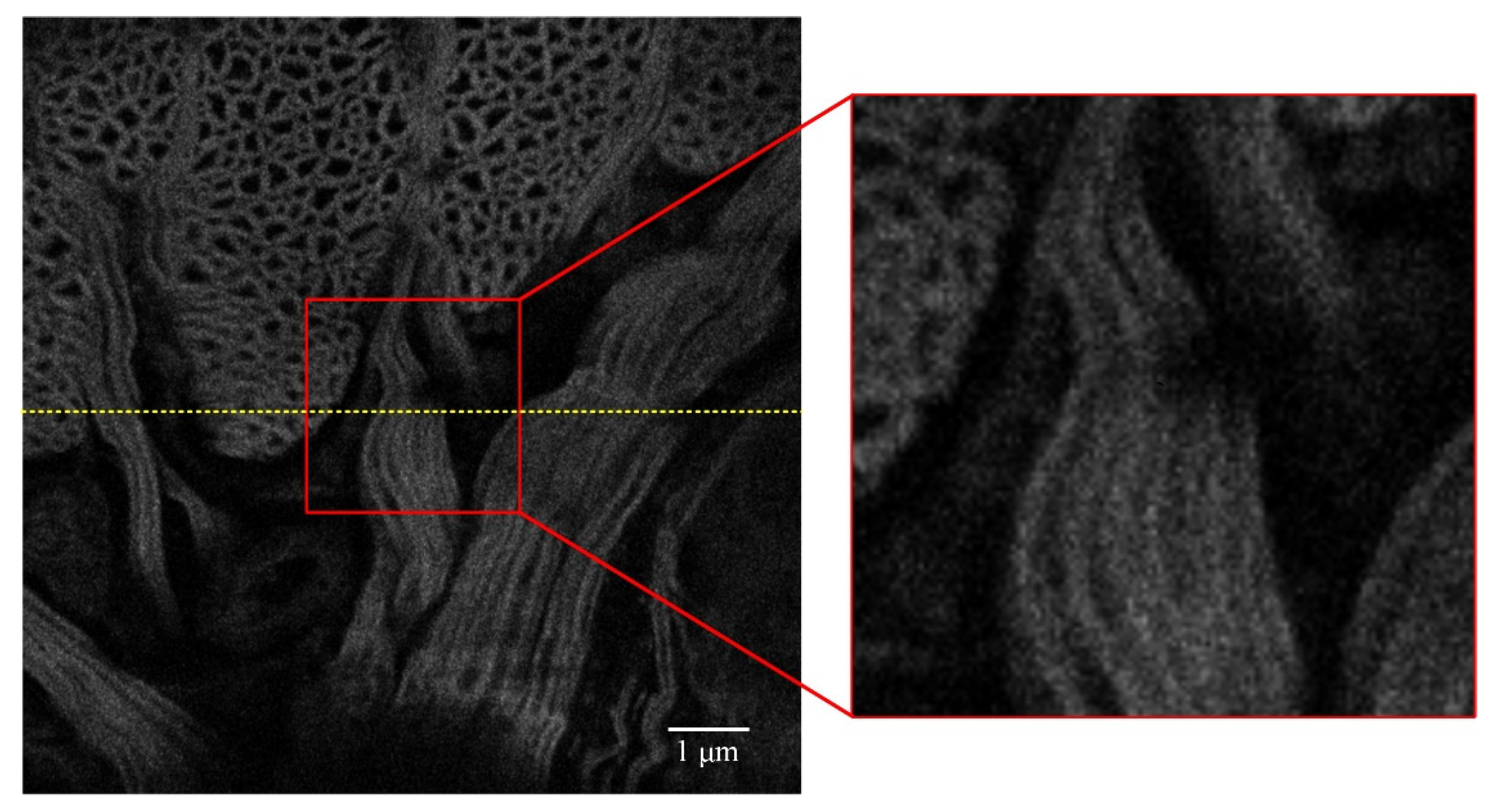 Sensors | Free Full-Text | Active Aberration Correction with Adaptive Coefficient SPGD Algorithm ...