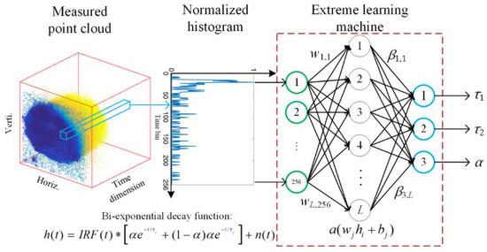 Fast Analysis of Time-Domain Fluorescence Lifetime Imaging via Extreme Learning Machine