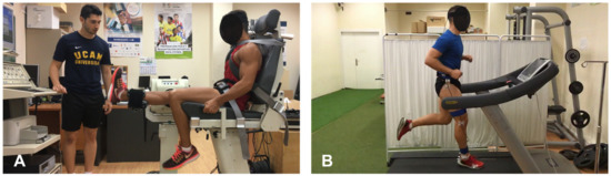 Sensors | Free Full-Text | Effects of Central and Peripheral Fatigue on ...