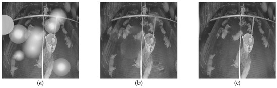 GAN-Based Video Denoising with Attention Mechanism for Field-Applicable Pig Detection System