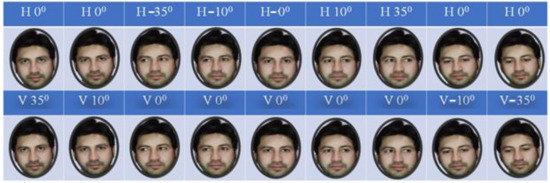 A Driver Gaze Estimation Method Based on Deep Learning