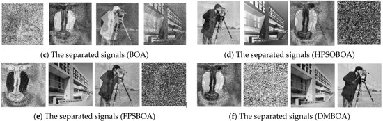 Blind Source Separation Based on Double-Mutant Butterfly Optimization Algorithm