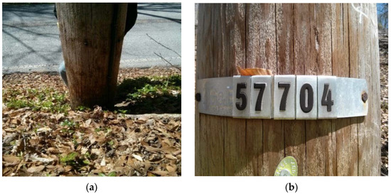 A Non-Destructive Health Evaluation Method for Wooden Utility Poles ...