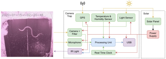 A Smart Camera Trap for Detection of Endotherms and Ectotherms