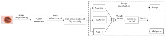 Dermoscopic Image Classification Method Using an Ensemble of Fine-Tuned Convolutional Neural ...