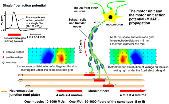 Sensors | Free Full-Text | Fundamental Concepts of Bipolar and High ...