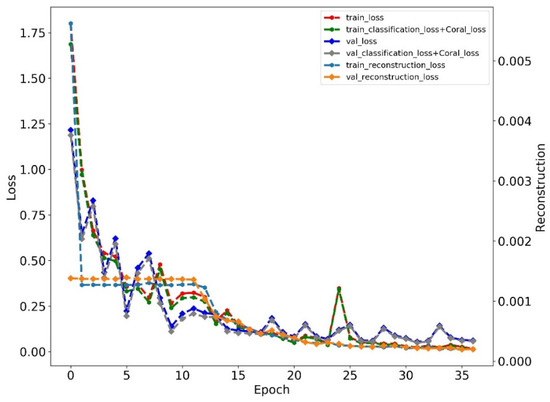 Unsupervised Domain Adaptive 1D-CNN for Fault Diagnosis of Bearing