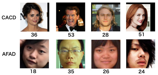 Age Estimation of Faces in Videos Using Head Pose Estimation and ...