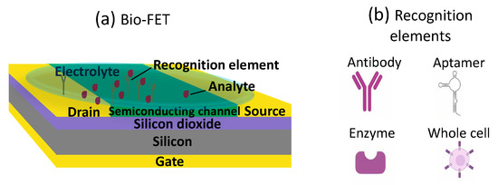 Field-Effect Transistor-Based Biosensors for Environmental and ...