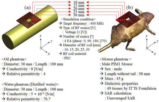 Simulation Study of Radio Frequency Safety and the Optimal Size of a ...