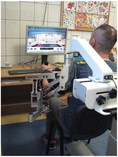 The Use of Armeo®Spring Device to Assess the Effect of Trunk ...