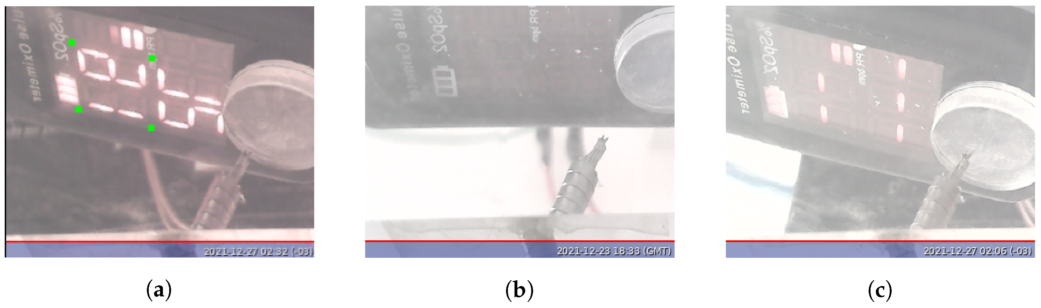 Towards Multimodal Equipment to Help in the Diagnosis of COVID-19 Using ...