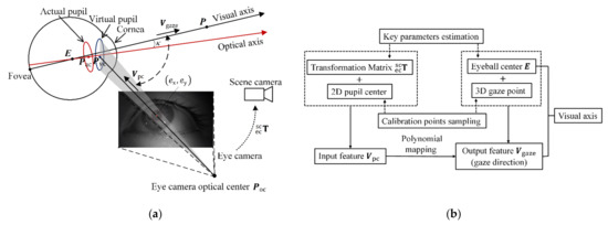High-Accuracy 3D Gaze Estimation with Efficient Recalibration for Head-Mounted Gaze Tracking Systems