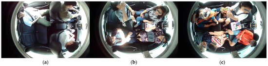 In-Cabin Monitoring System for Autonomous Vehicles