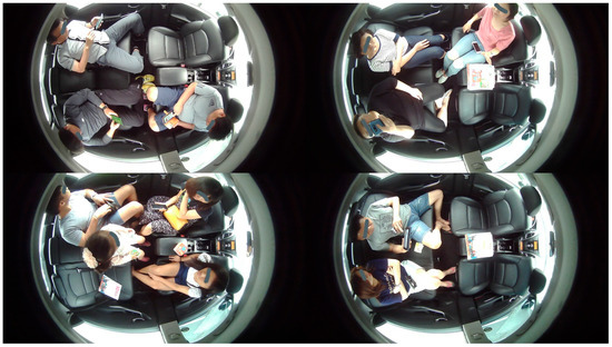 In-Cabin Monitoring System for Autonomous Vehicles