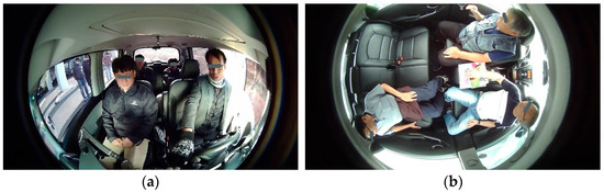 In-Cabin Monitoring System for Autonomous Vehicles