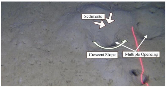 A Novel Detection Refinement Technique for Accurate Identification of ...