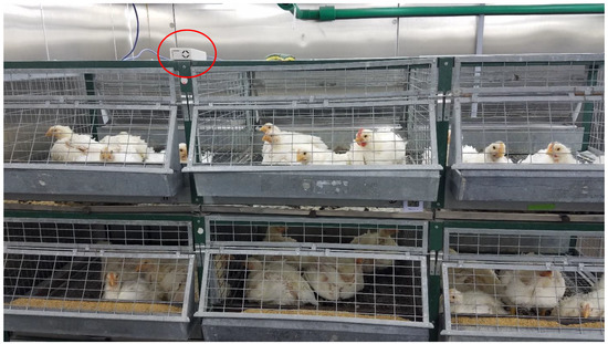 Automatically Controlled Dust Generation System Using Arduino