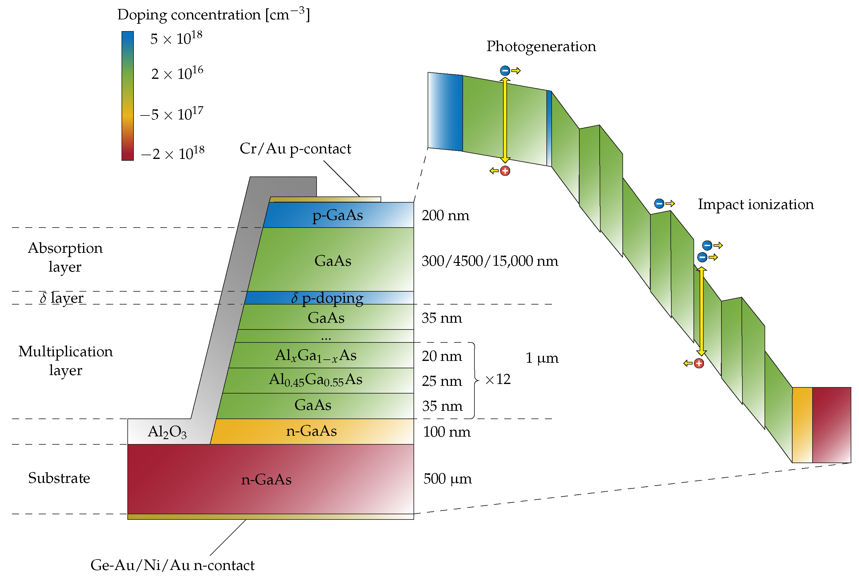 Synchrotron Radiation Study of Gain, Noise, and Collection Efficiency ...