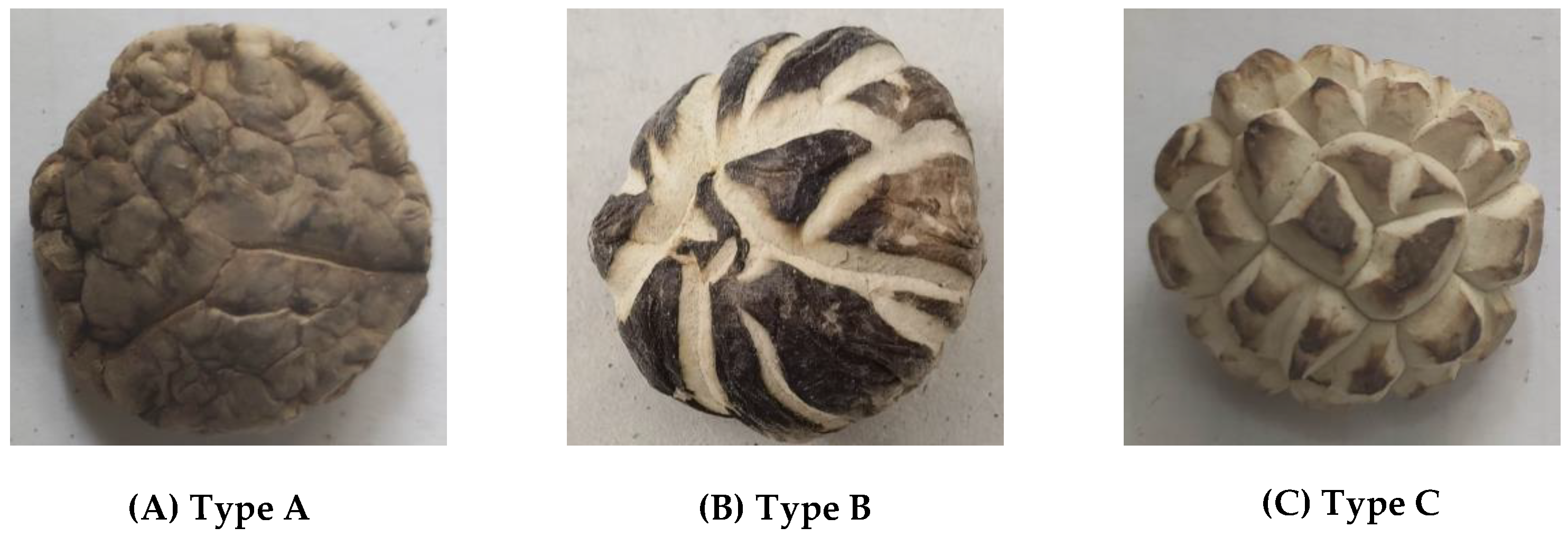 Deep-Learning-Based Wireless Visual Sensor System for Shiitake Mushroom Sorting