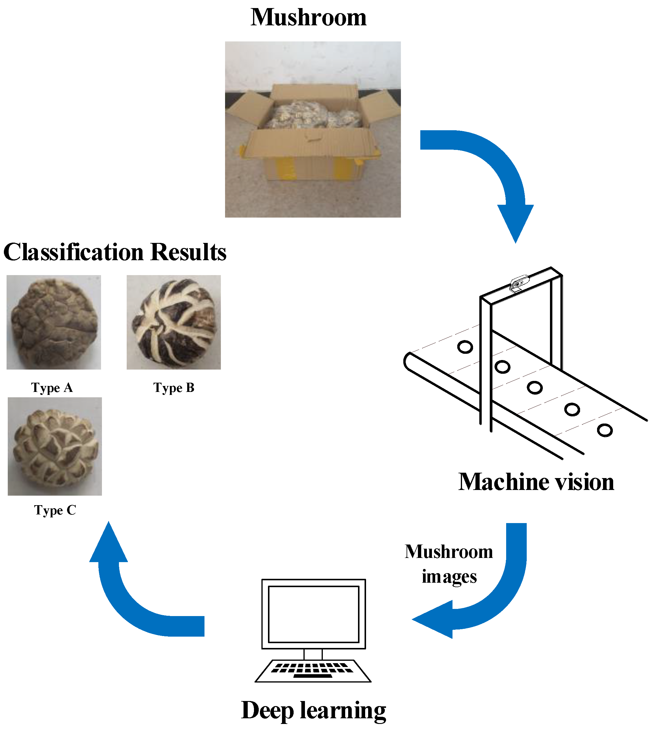Deep-Learning-Based Wireless Visual Sensor System for Shiitake Mushroom Sorting