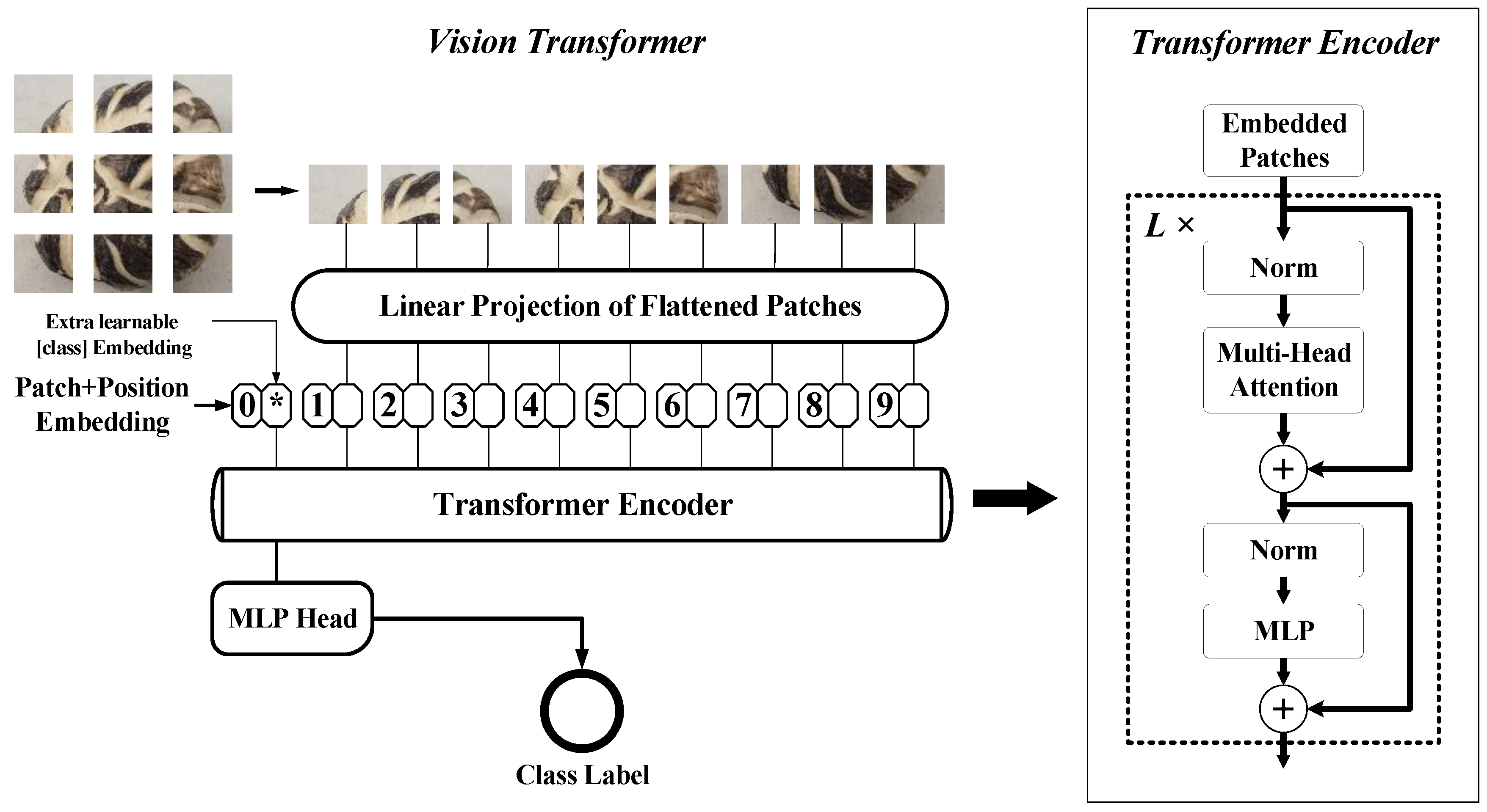 Deep-Learning-Based Wireless Visual Sensor System for Shiitake Mushroom Sorting