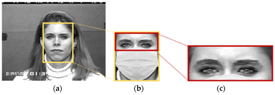 Sensors | Free Full-Text | Emotion Recognition for Partial Faces Using a Feature Vector Technique