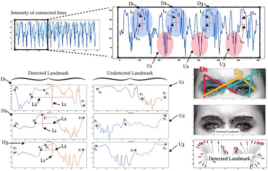 Sensors | Free Full-Text | Emotion Recognition for Partial Faces Using a Feature Vector Technique
