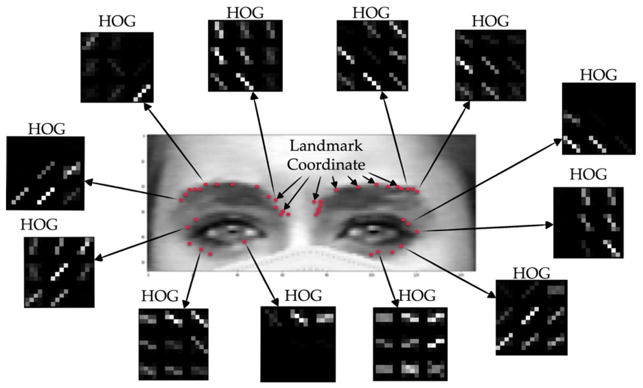 Emotion Recognition for Partial Faces Using a Feature Vector Technique