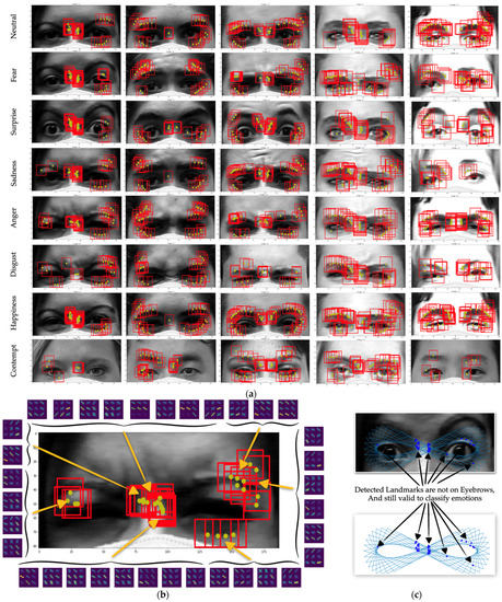Sensors | Free Full-Text | Emotion Recognition for Partial Faces Using a Feature Vector Technique