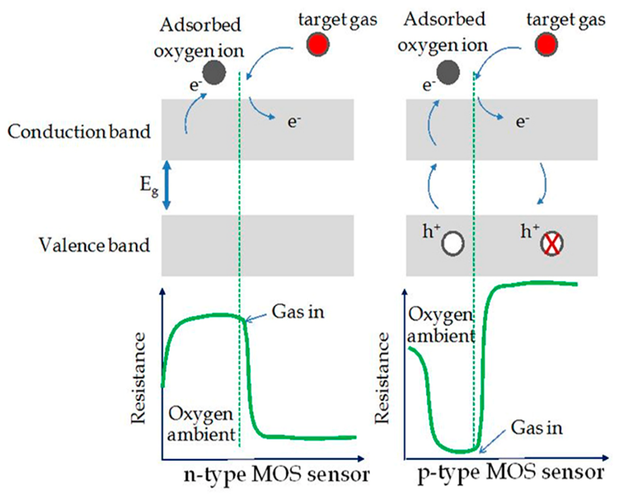 Sensors | Free Full-Text | Green Synthesis of Metal Oxides ...