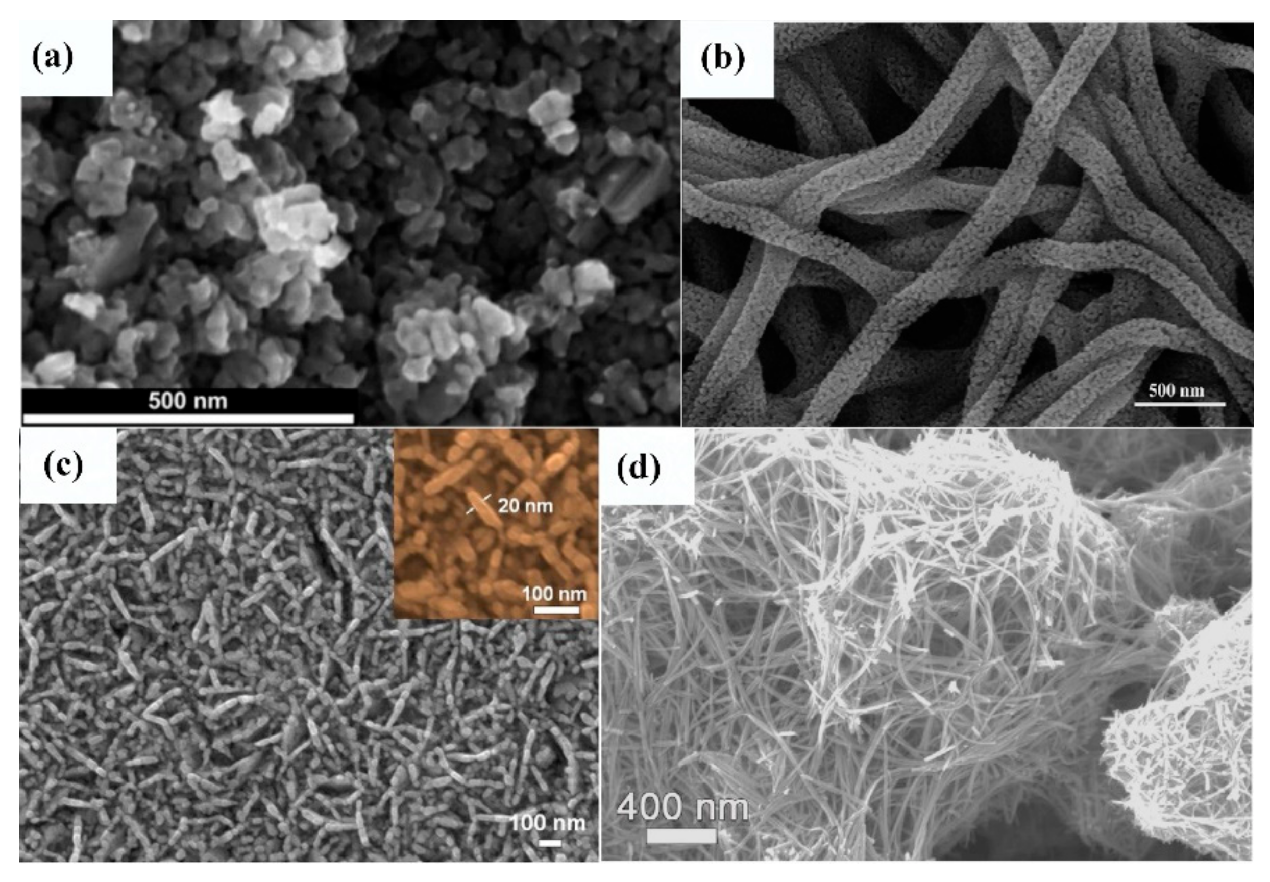 Sensors | Free Full-Text | Green Synthesis of Metal Oxides ...