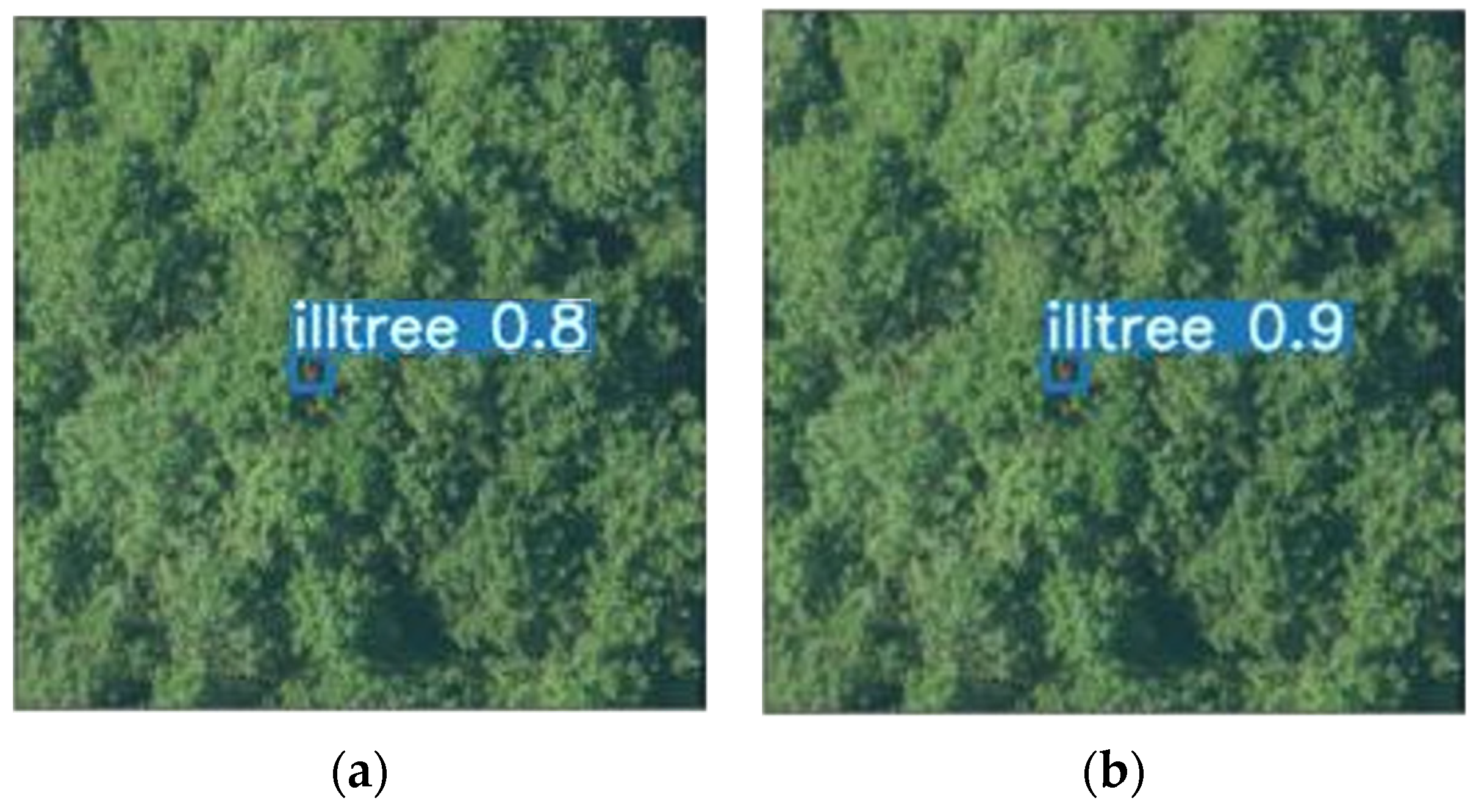 Detection of Pine Wilt Nematode from Drone Images Using UAV
