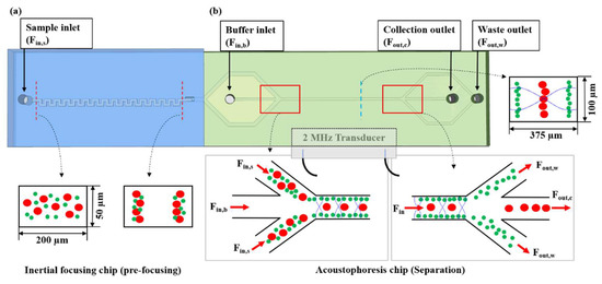 Inertia–Acoustophoresis Hybrid Microfluidic Device for Rapid and ...
