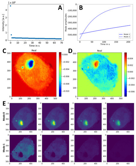 Dynamic Mode Decomposition of Fluorescence Loss in Photobleaching Microscopy Data for Model-Free ...