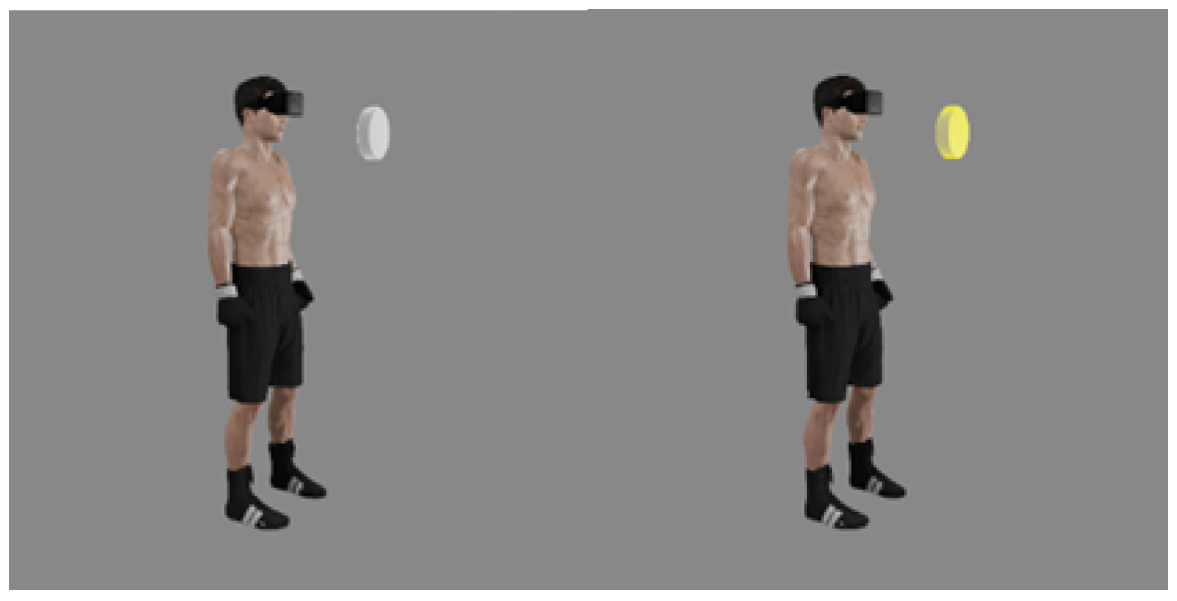 Assessment of the Relevance and Reliability of Reaction Time Tests ...