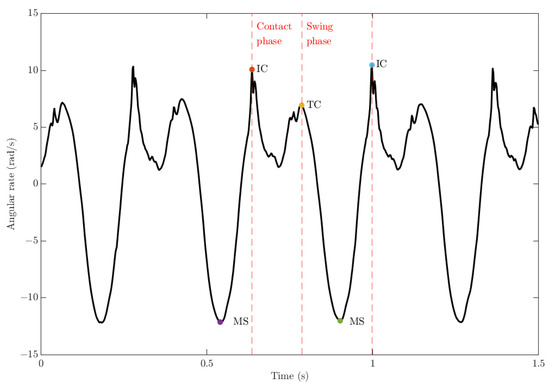 Inertial Sensor Estimation of Initial and Terminal Contact during In ...
