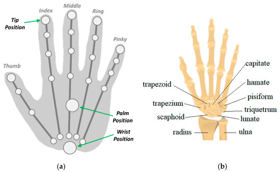 Sensors | Free Full-Text | Analysis of the Leap Motion Controller’s ...