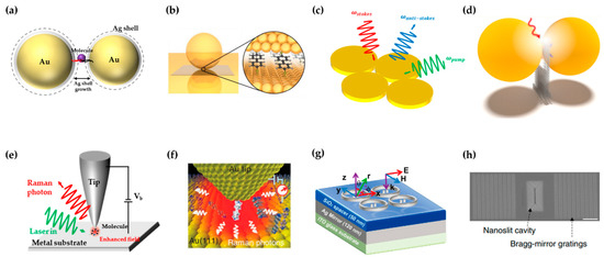Sensors | Free Full-Text | Single-Molecule Surface-Enhanced Raman Spectroscopy