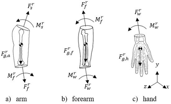 Biomechanics of the Upper Limbs: A Review in the Sports Combat Ambit ...