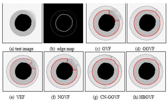 Image Segmentation Using Active Contours with Hessian-Based Gradient Vector Flow External Force