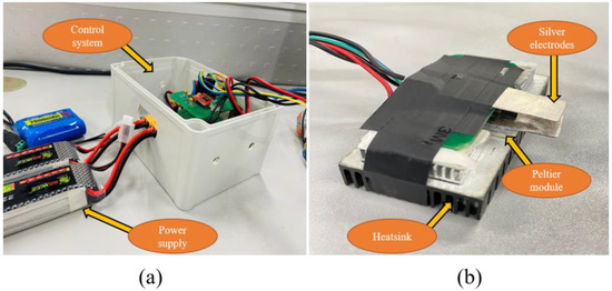 Sensors | Free Full-Text | E-Taste: Taste Sensations and Flavors Based ...