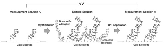 Technical Perspectives on Applications of Biologically Coupled Gate ...