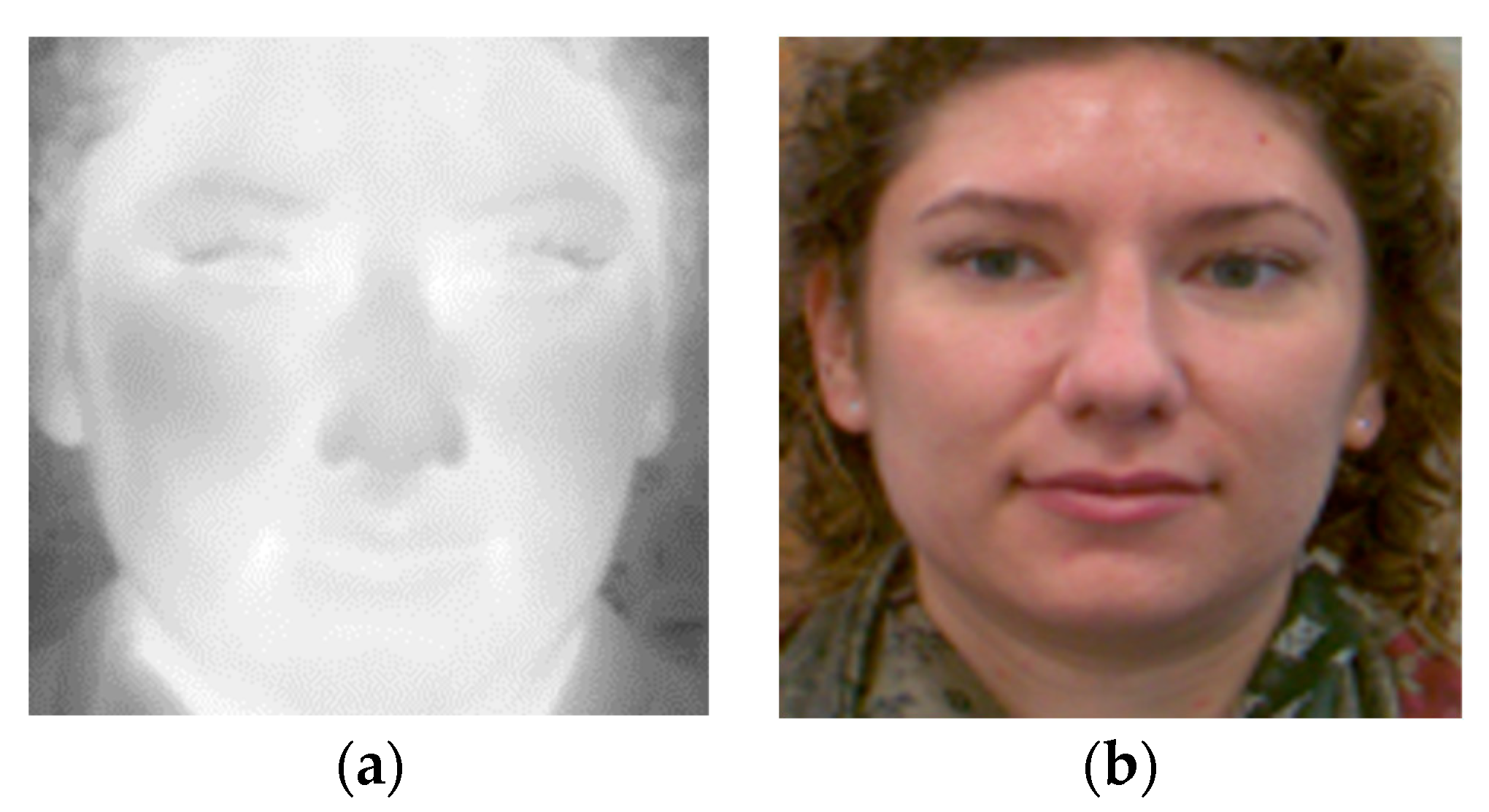 Thermal–Visible Face Recognition Based on CNN Features and Triple ...